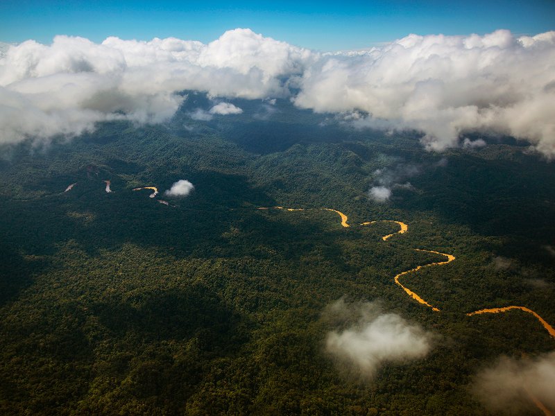 AMAZON WATCH » Take Action