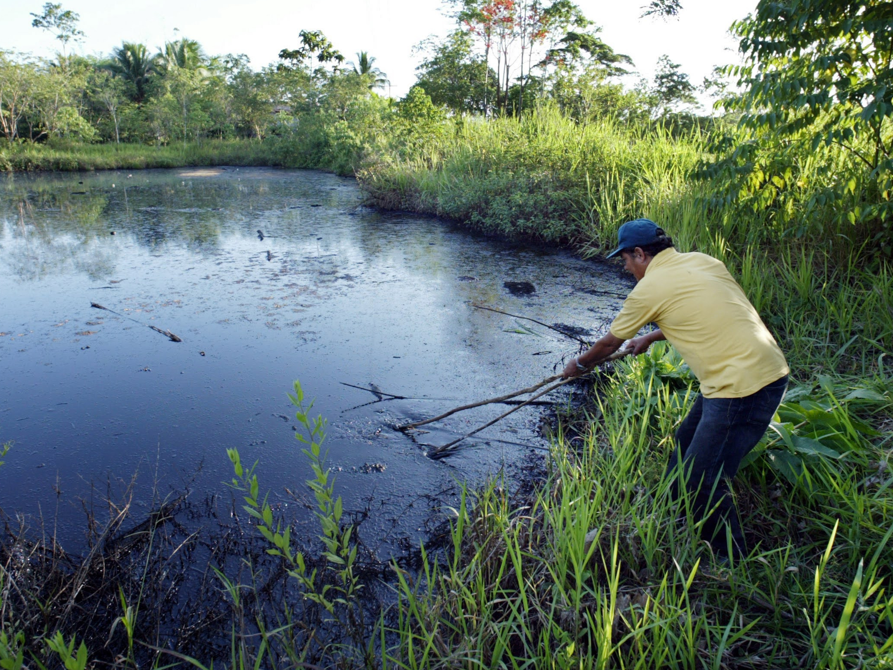 Deforestation Declines, but Fires Rage On in the Amazon | Amazon Watch