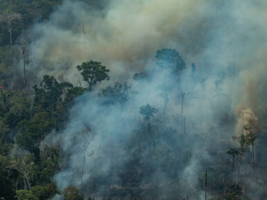 Amazon Fires Are Soaring Again – but Forest Loss Is Down. What’s Going ...