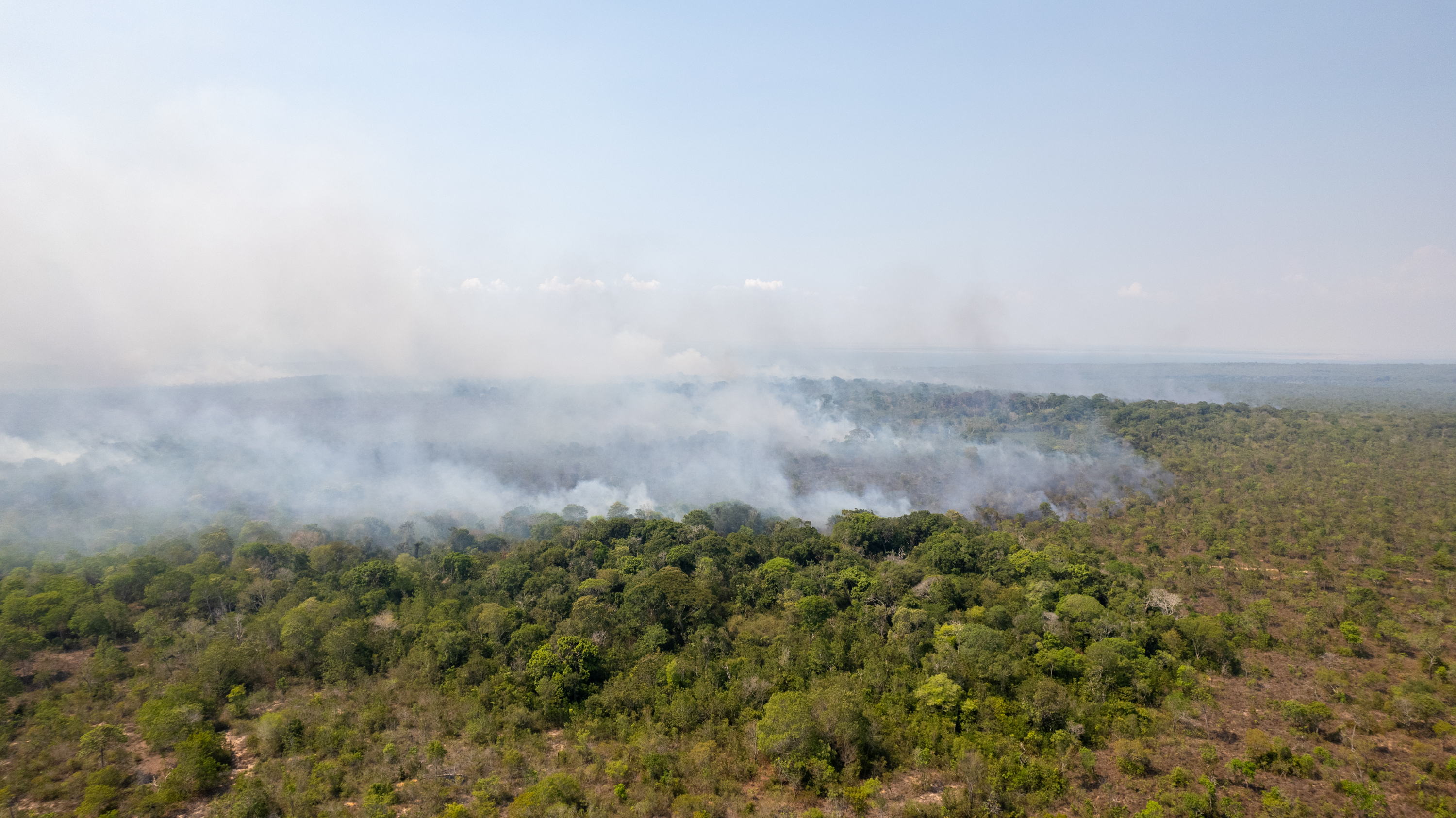 From Crisis to Catastrophe: The Man-Made Inferno Devouring the Amazon ...