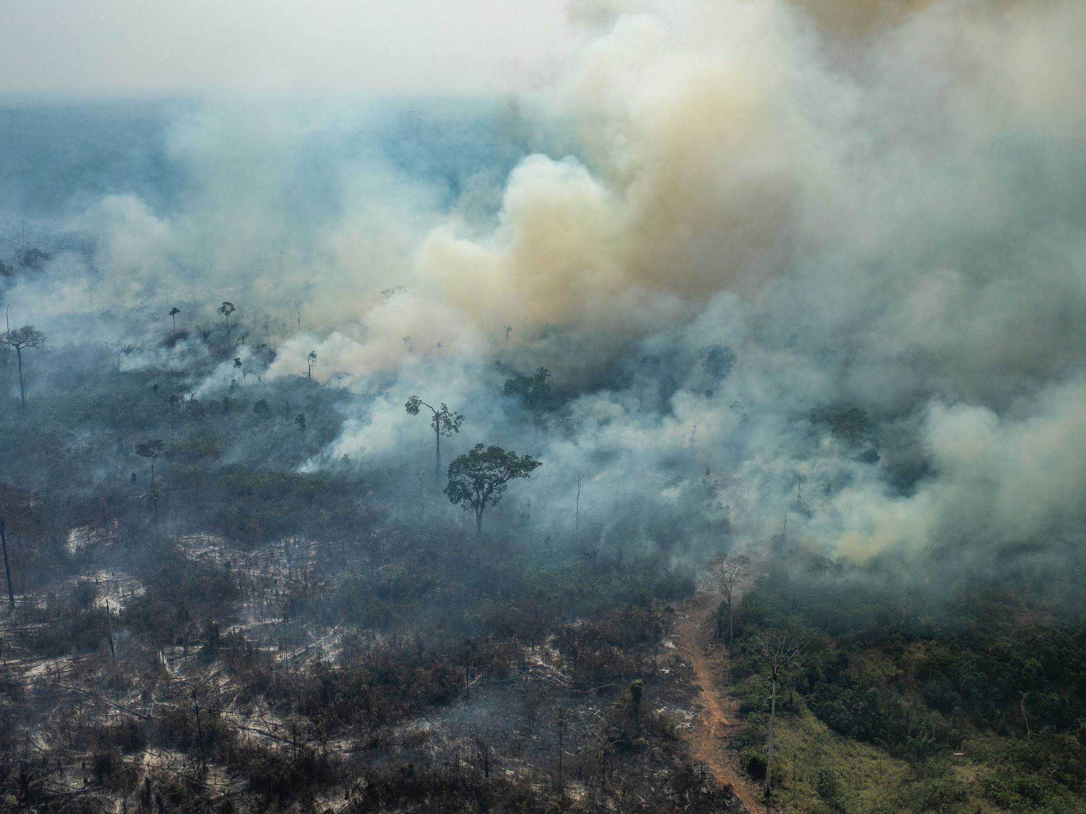 Deforestation Declines, but Fires Rage On in the Amazon | Amazon Watch