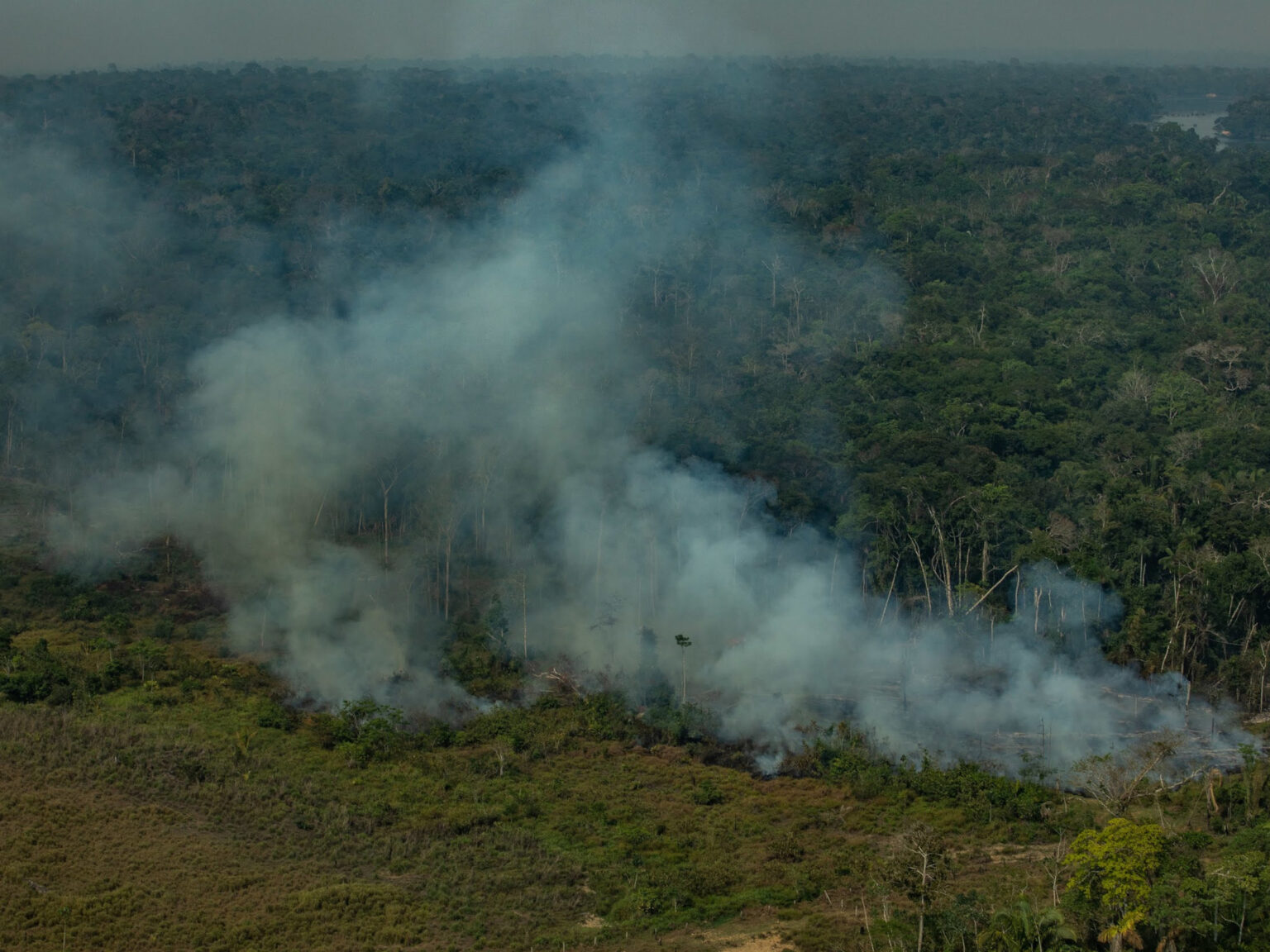 La déforestation dans la forêt amazonienne du Brésil atteint son niveau ...