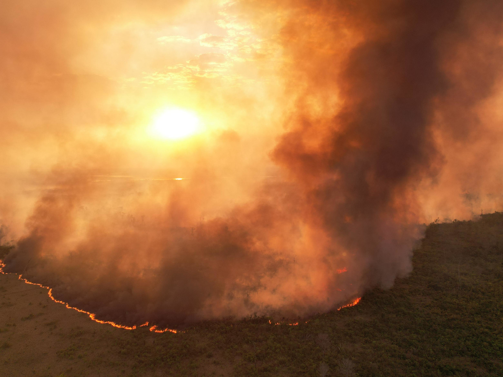 The Climate Crises in Los Angeles and the Amazon Rainforest Are ...