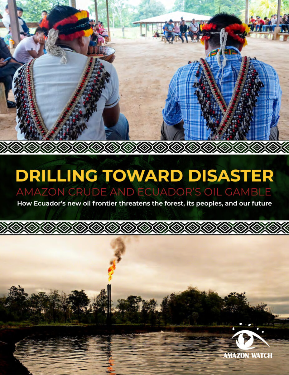 Amazon Watch | Protecting the rainforest and our climate in solidarity ...