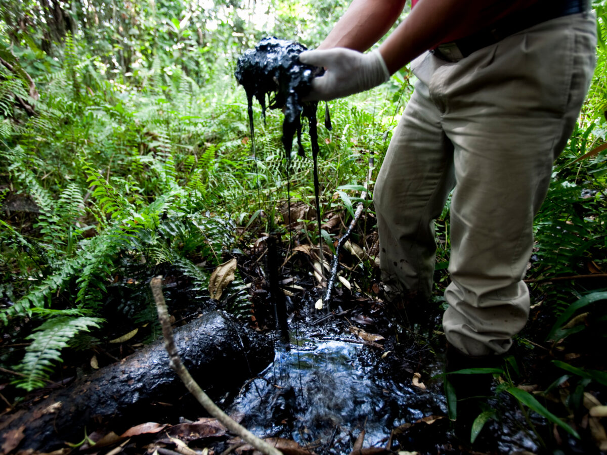 Amazon Watch | Protecting the rainforest and our climate in solidarity ...